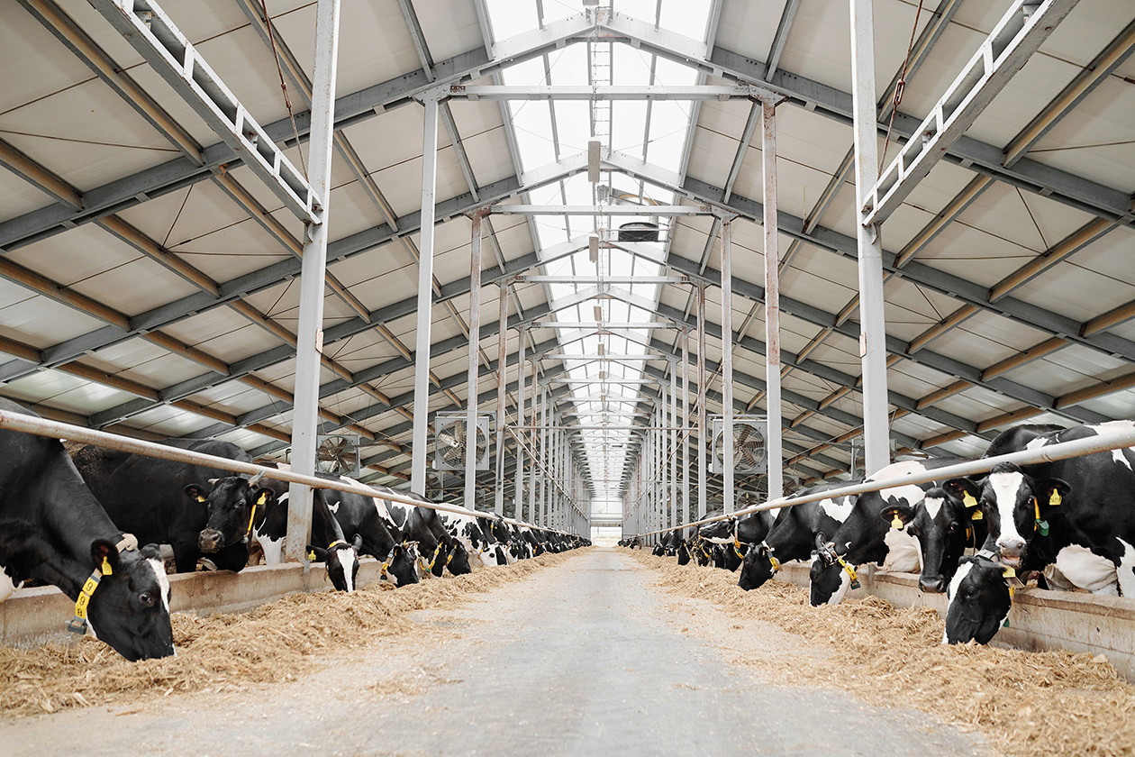 Livestock Management Solutions