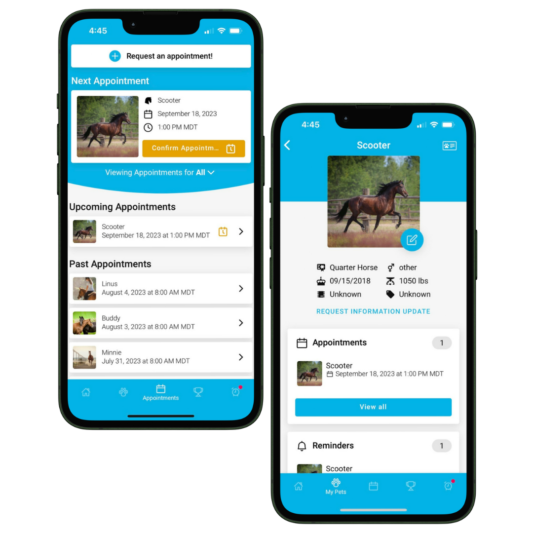 Equine Veterinary Practices