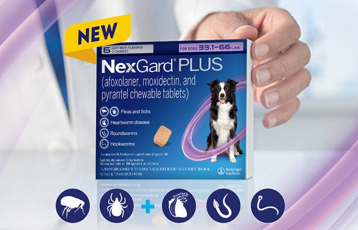NexGard® PLUS