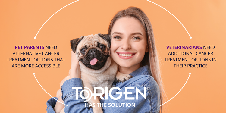 Torigen Pharmaceuticals Veterinary Cancer Treatment