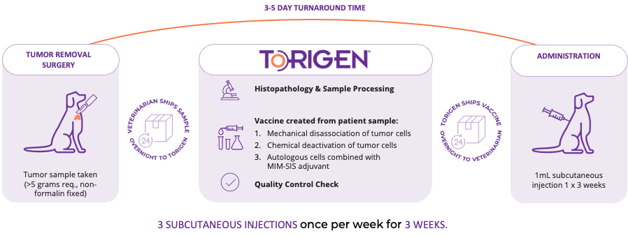 Torigen Pharmaceuticals Veterinary Cancer Treatment