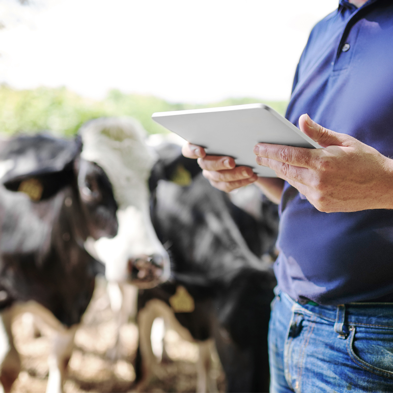 myAnimalRx | MWI Animal Health