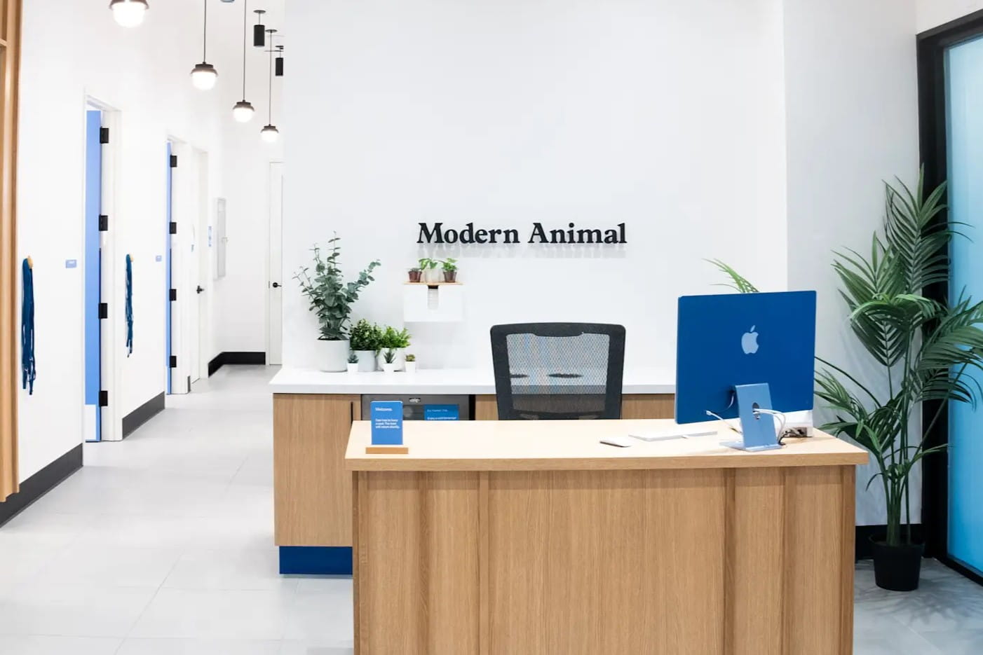 Companion Animal and Livestock Veterinarians